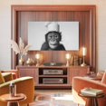 Chimpanzee TV Cover for 65 Inch Screen, Stretch Fabric Dustproof TV ...