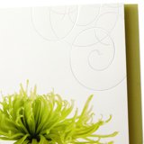 Hallmark Sympathy Card Box Pack (Flowers, 12 Cards with Messages and ...
