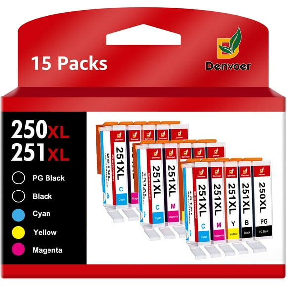 Canon Ink 250 251 Cartridges