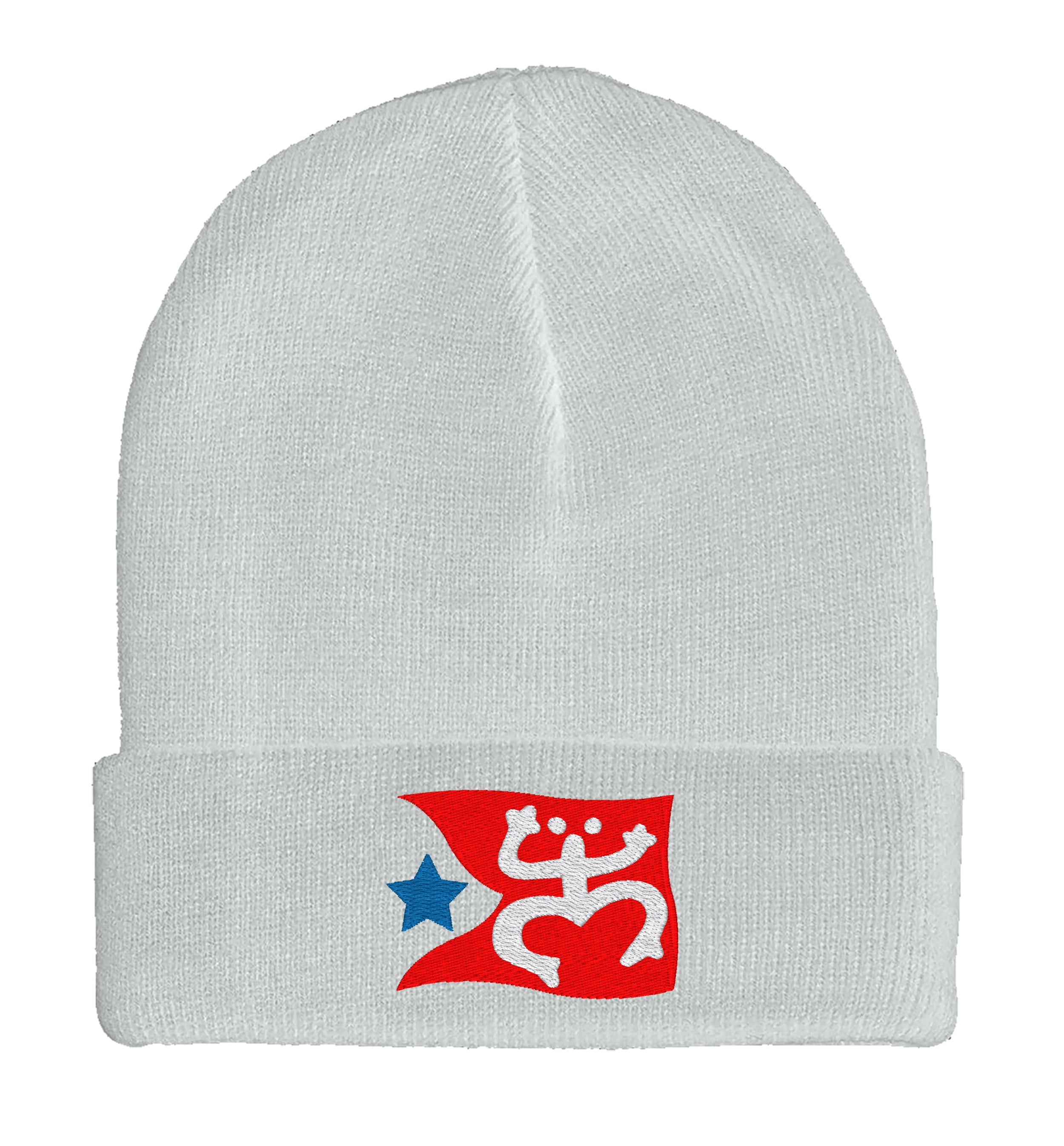 Embroidered Puerto Rican FLAG with Taino Frog Logo Hat-EM-0034-White ...
