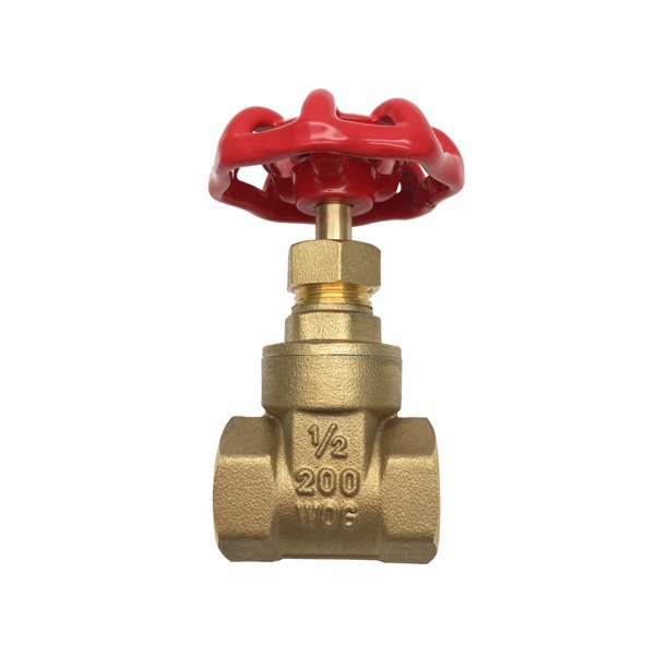 THEWORKS® Heavy Pattern Brass Threaded Gate Valve, 3/4" FIP x FIP ...