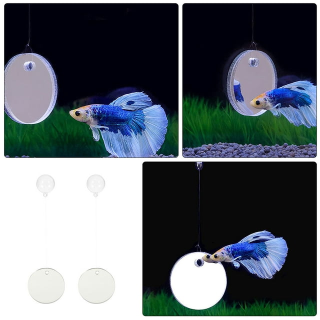 Betta fish mirror 2 Sets Fish Training Mirror Betta Fish Mirror Fish ...