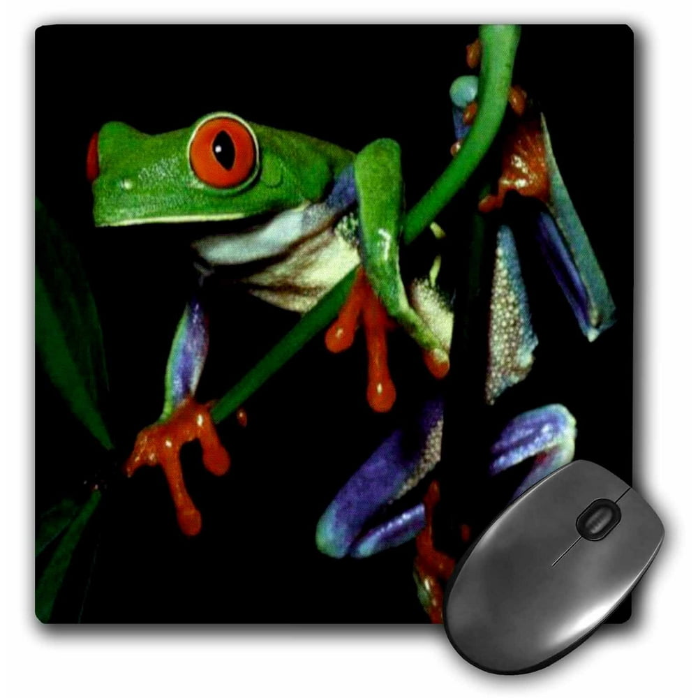 3dRose Frog, Mouse Pad, 8 by 8 inches - Walmart.com - Walmart.com