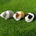 Misterolina Guinea Pig Plush Pig Animal Stuffed Soft Small Hamster Toy ...