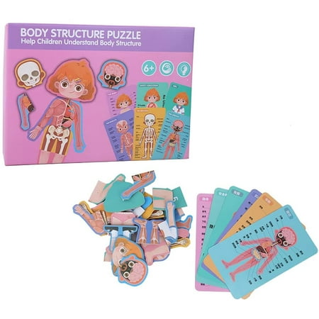 Wooden Puzzles for Toddlers, Children Human Body Organ Structure ...