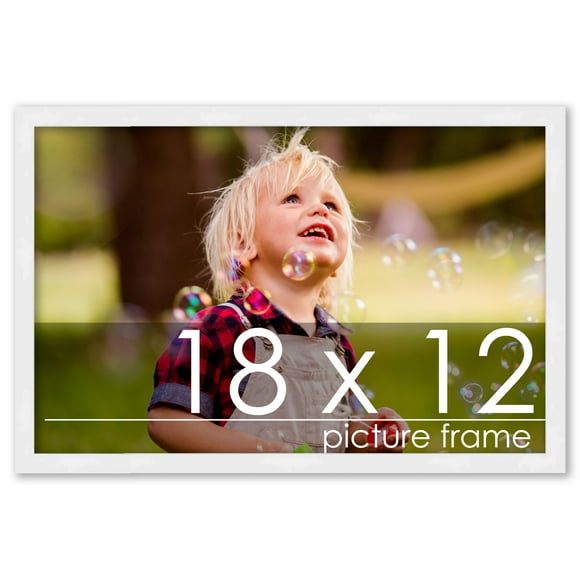 18x12 Poster Frame