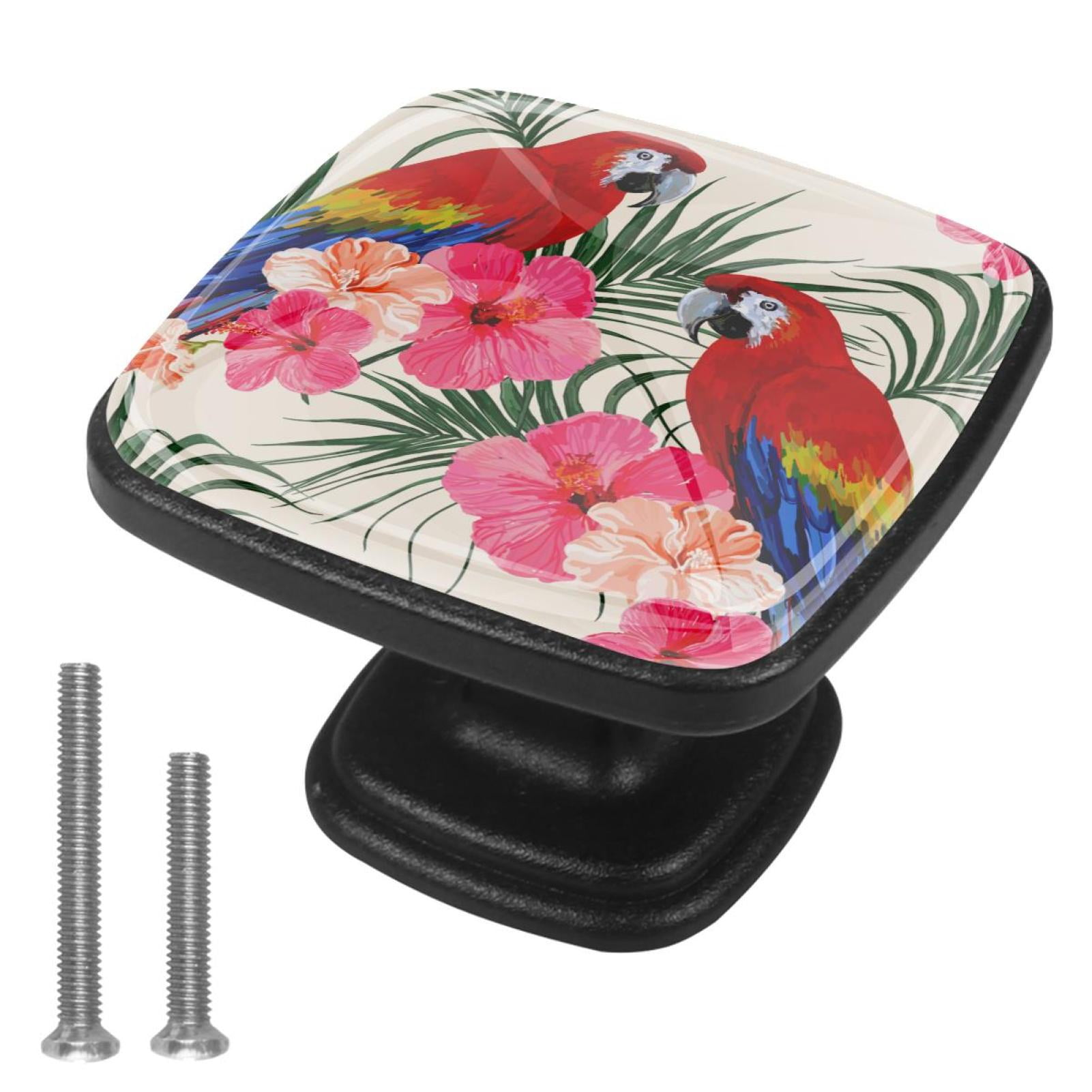 4 Pcs Cabinet Handle Drawer Pulls Parrot Knobs with Screws Square ...