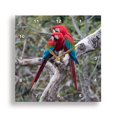 3drose, Brazil, Mato Grosso Do Sul, Jardim, a Pair of Red and Green ...