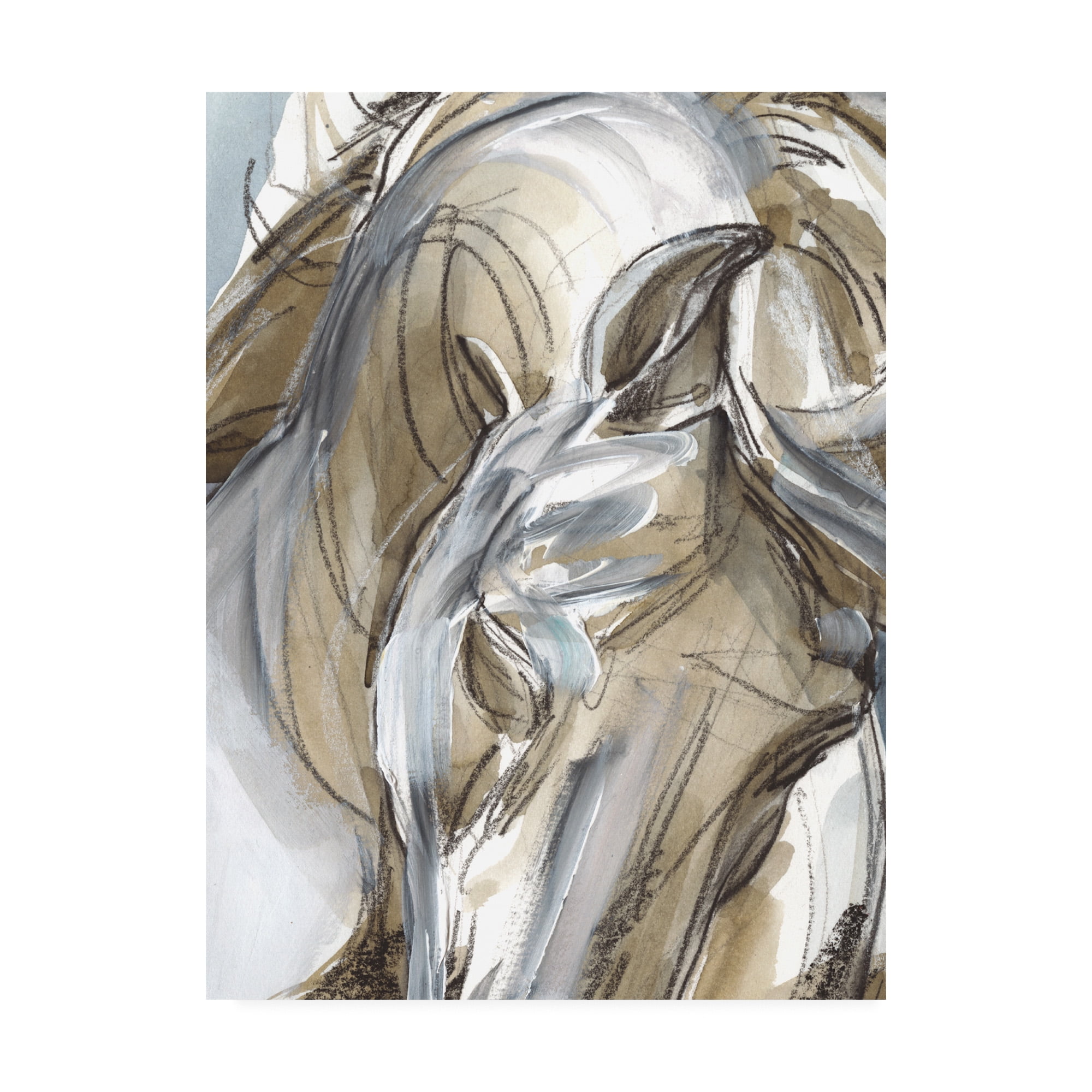 Trademark Fine Art 'Horse Abstraction I' Canvas Art by Jennifer Paxton ...