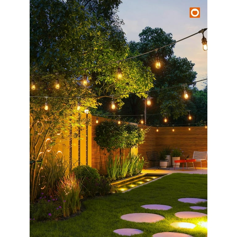 Commercial Grade Heavy Duty Outdoor String Lights | Shelly Lighting