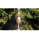 Good Directions Pineapple Rain Chain, Pure Copper - 8.5 ft. - Walmart.com