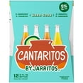 Cantaritos Jarritos Variety Pack Hard Soda 12 Pack, 12 fl oz Glass ...