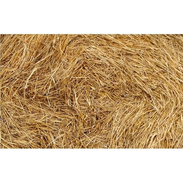 Premium Organic Wheat Straw - Natural, Ideal for Gardening, Animal ...