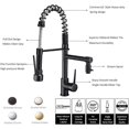Blackend Spring Kitchen Faucet Pull Out Side Sprayer Dual Spout Single ...