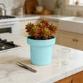 EDHITNR Planter, Mini Plastic Flower Pot for Indoor Plants, Desktop ...