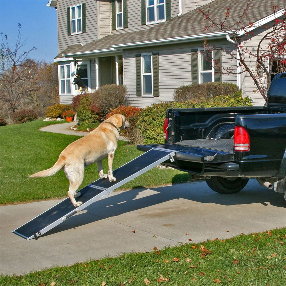 PetSafe Happy Ride Extra Long Telescoping Dog Ramp Petco