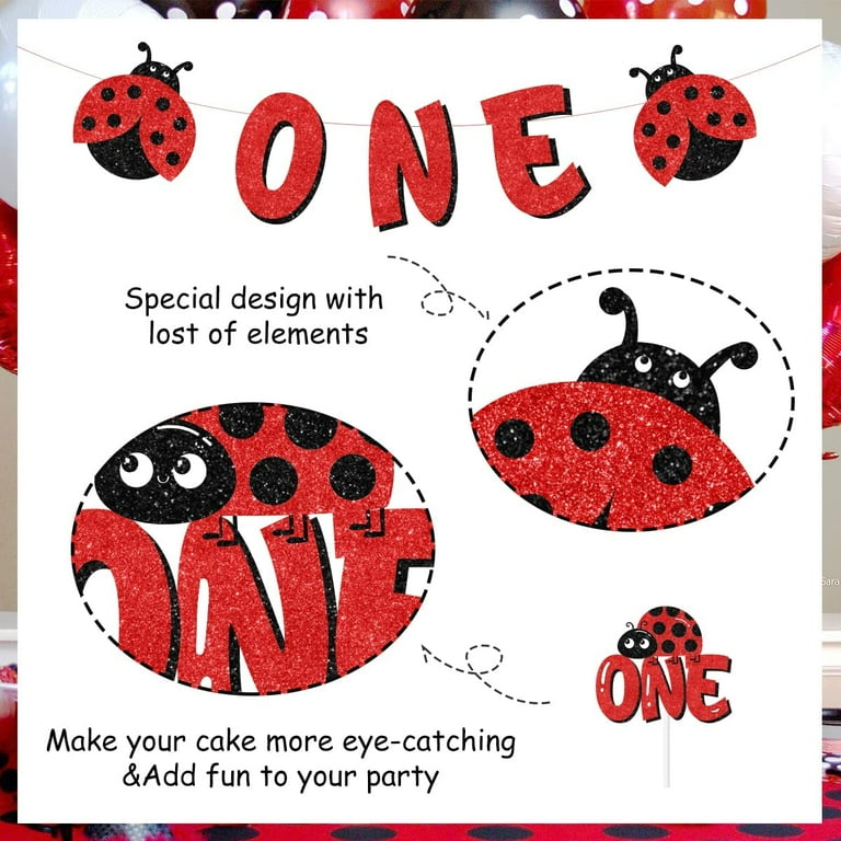 Ladybug Decorations For 1st Birthday Party