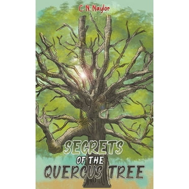 Greystone Secrets #1: The Strangers - Walmart.com