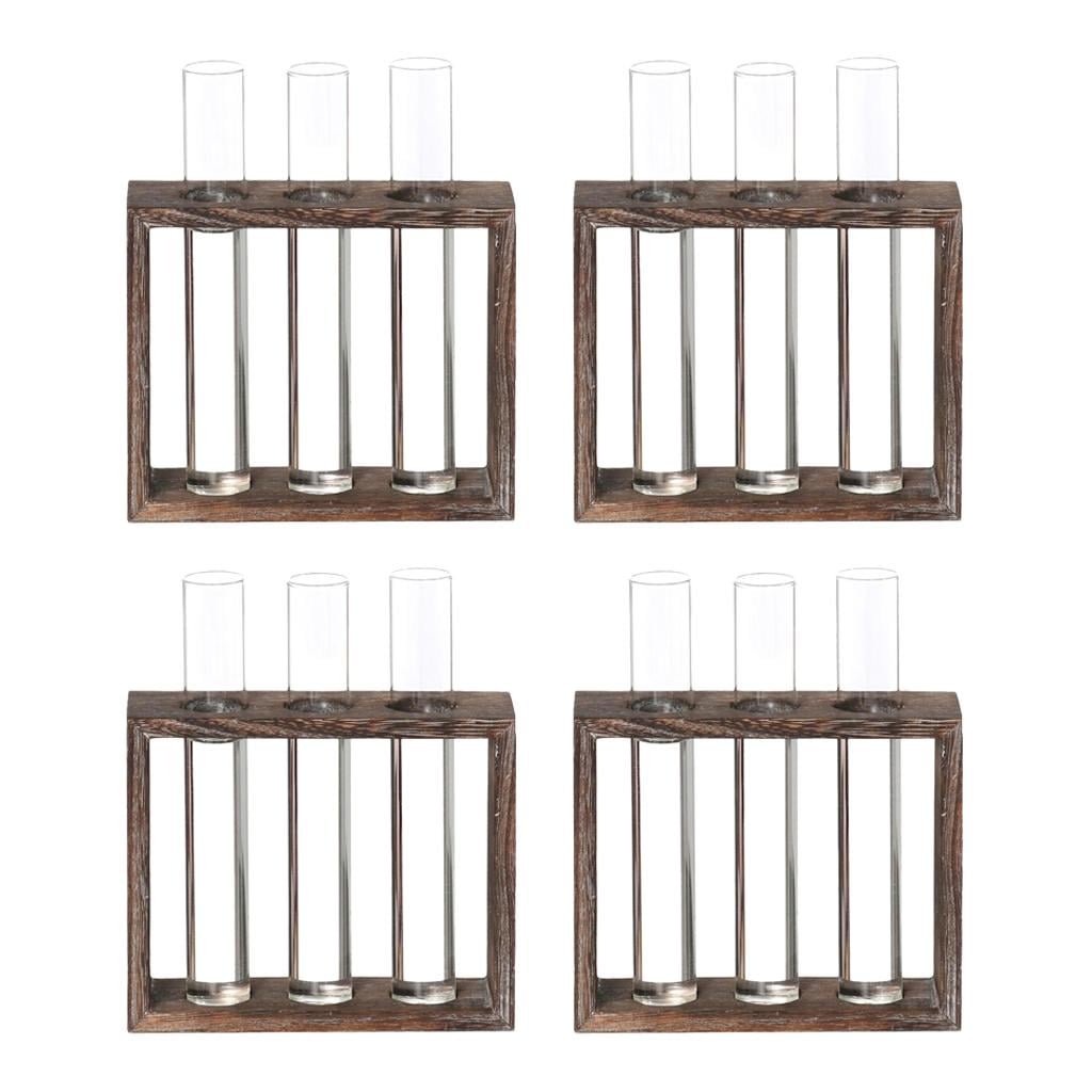 Test Tube Glass Planter Vase with Retro Wooden s Plants home and garden ...