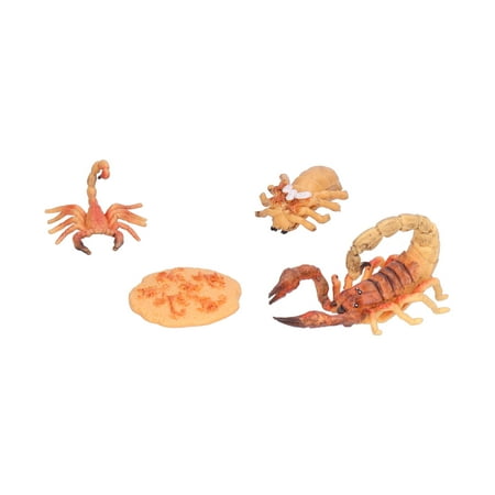 4 Pieces Plastic Scorpion,Fake Scorpion Toys Scorpion Life Cycle Kit ...