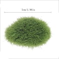 Artificial Moss Rocks 1Pcs 1.96 Inch Fake Moss Balls Decorative Green ...