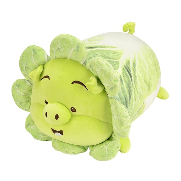 Stuff Cabbage