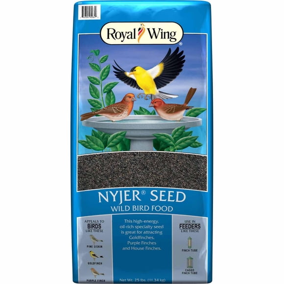 Royal Wing Bird Feed