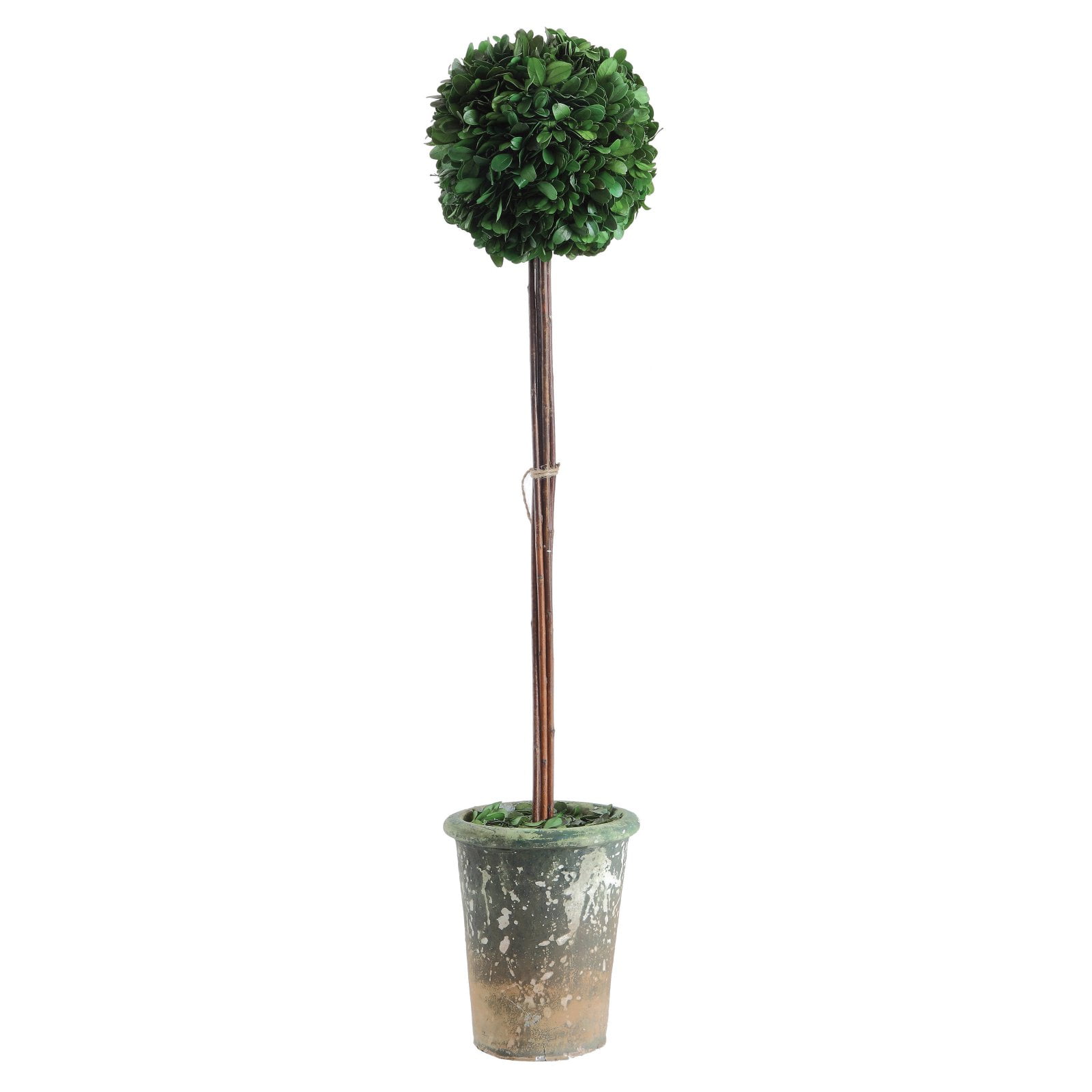 3R Studios 28 in. Boxwood Ball Topiary with Clay Pot - Walmart.com