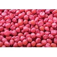Dinner Getter Deer Food Plot Corn Seeds - 250 Seeds to Grow Deer Food ...