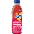 Snapple Fruit Punch Apple Flavored Juice Drink, 16 fl oz, Recyclable ...
