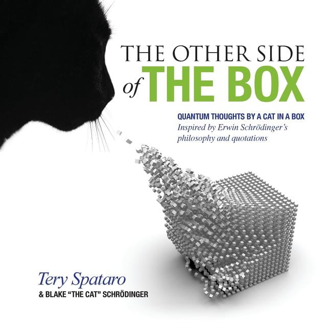 The Other Side of the Box (Paperback) - Walmart.com