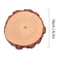 Unfinished Pine Slice Wood Slices Wood Disc with Tree Bark DIY ...