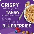 Kashi Protein Cereal with 10g Protein and 10g Fiber in Mixed Berry ...