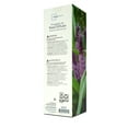 Mainstays 100ml Reed Diffuser - Pineapple Lily Scent - Walmart.com