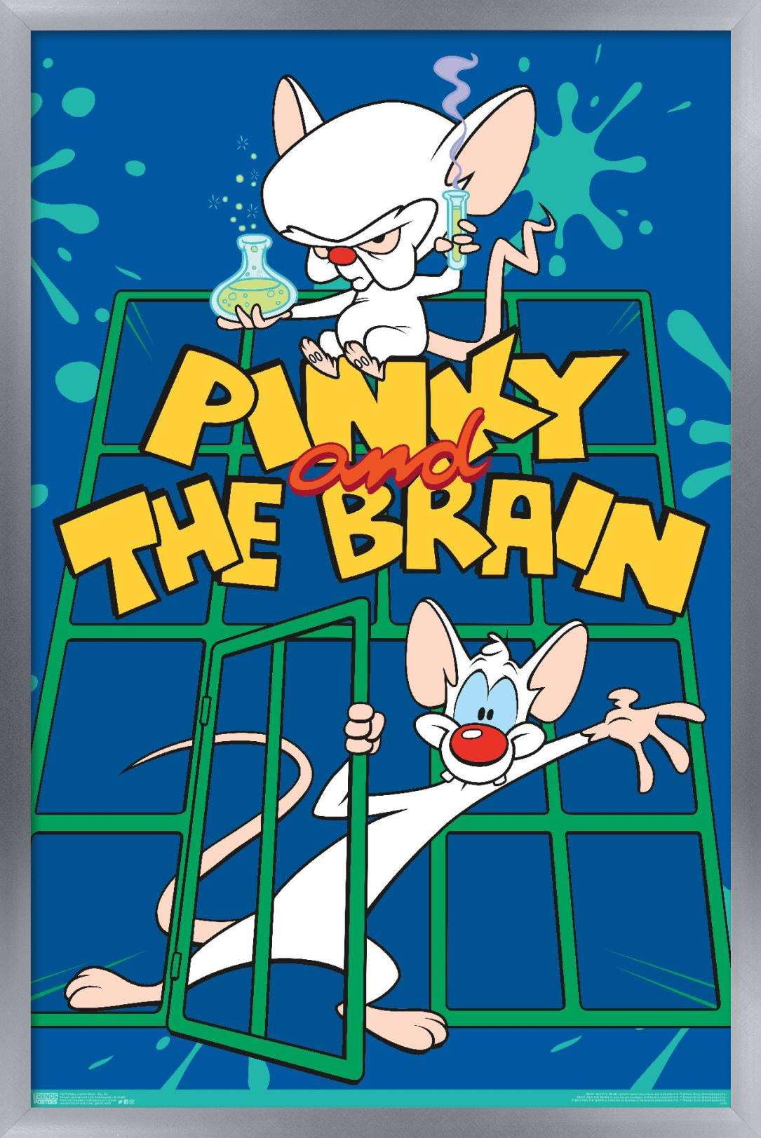 Pinky And The Brain - Key Art Wall Poster, 14.725" x 22.375", Framed ...