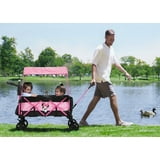 Disney Minnie Mouse Double Toddler Stroller Wagon with Canopy and ...