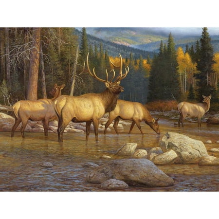 UPC 092818500964 - Reflective Art Inc Cool Clear Water Jigsaw Puzzle ...
