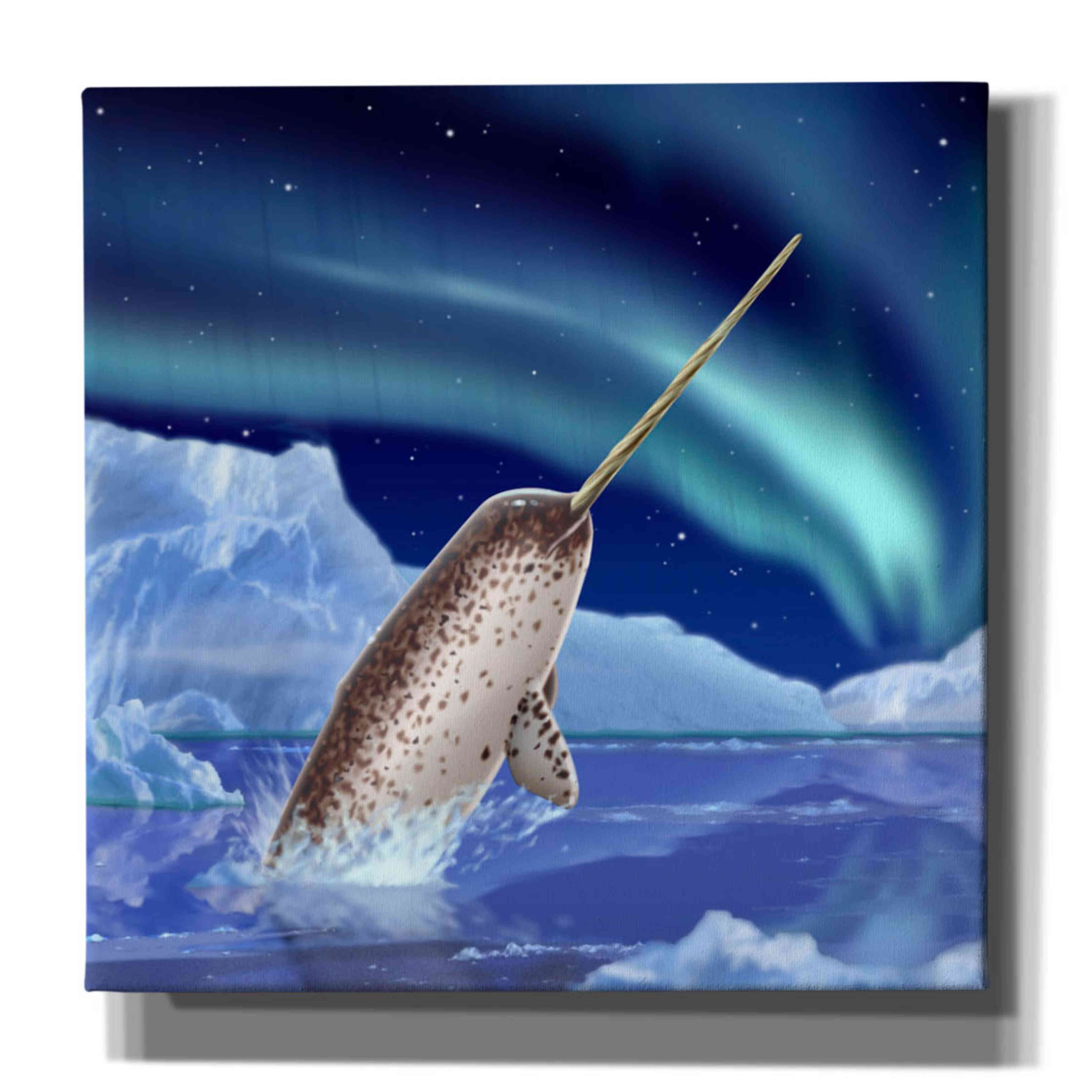 Epic Graffiti 'Narwhal and Northern Lights' by Chris Dobrowolski, Canvas Wall Art, 12"x12 ...