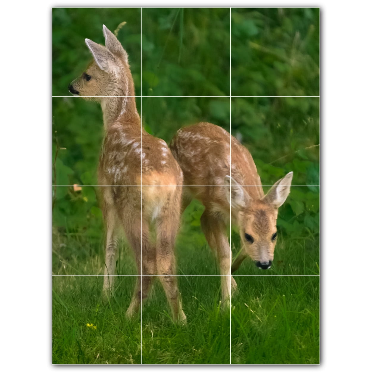 Picture-Tiles.com: Deer Ceramic Tile Wall Mural WAL500434-34M. 18"W x ...