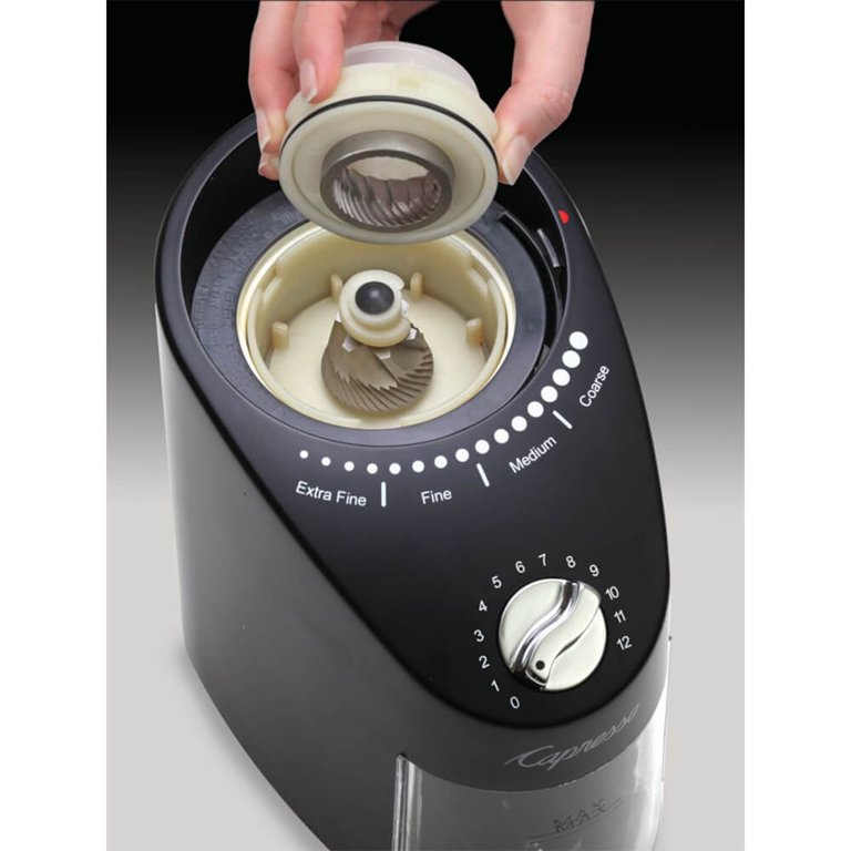 Burr Grinder Walmart | ppgbbe.intranet.biologia.ufrj.br