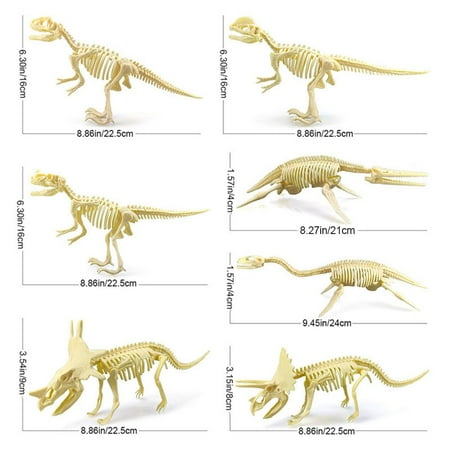 Dinosaur Skeletons Dinosaur Bones Toys 7 Pcs Aur Skeletons Aur Bones ...