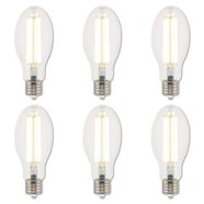 150-Watt Equivalent ED28 HID LED Light Bulb E26 Daylight (1-Bulb ...