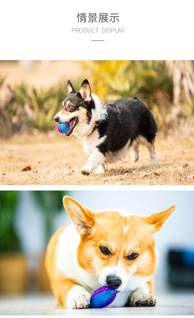 GIGWI Pet Toys G-Ball Toys S / M / L Series Transparent Interactive Dog Ball Toy for Dogs Bite ...