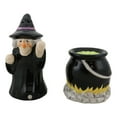 Black Potion Magic Witch And Large Cauldron Pot Hearth Salt Pepper ...