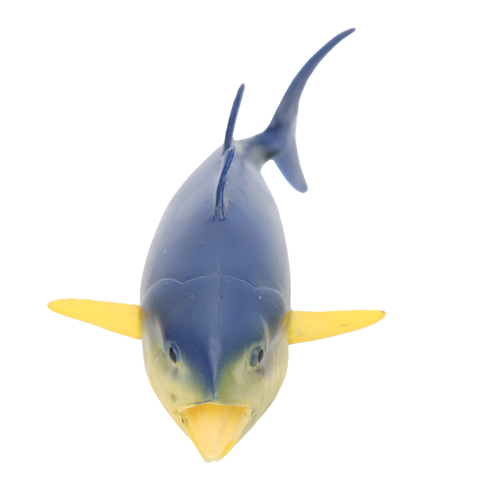 Modelo de pez, modelo de pez de simulación de pez marino realista ...