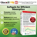 Free Shipping! Glucocil 30-Day Supply 120CT, Blood Sugar Support ...