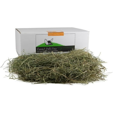 Vitakraft Orchard Grass Hay for Rabbits, Guinea Pigs, Chinchillas ...
