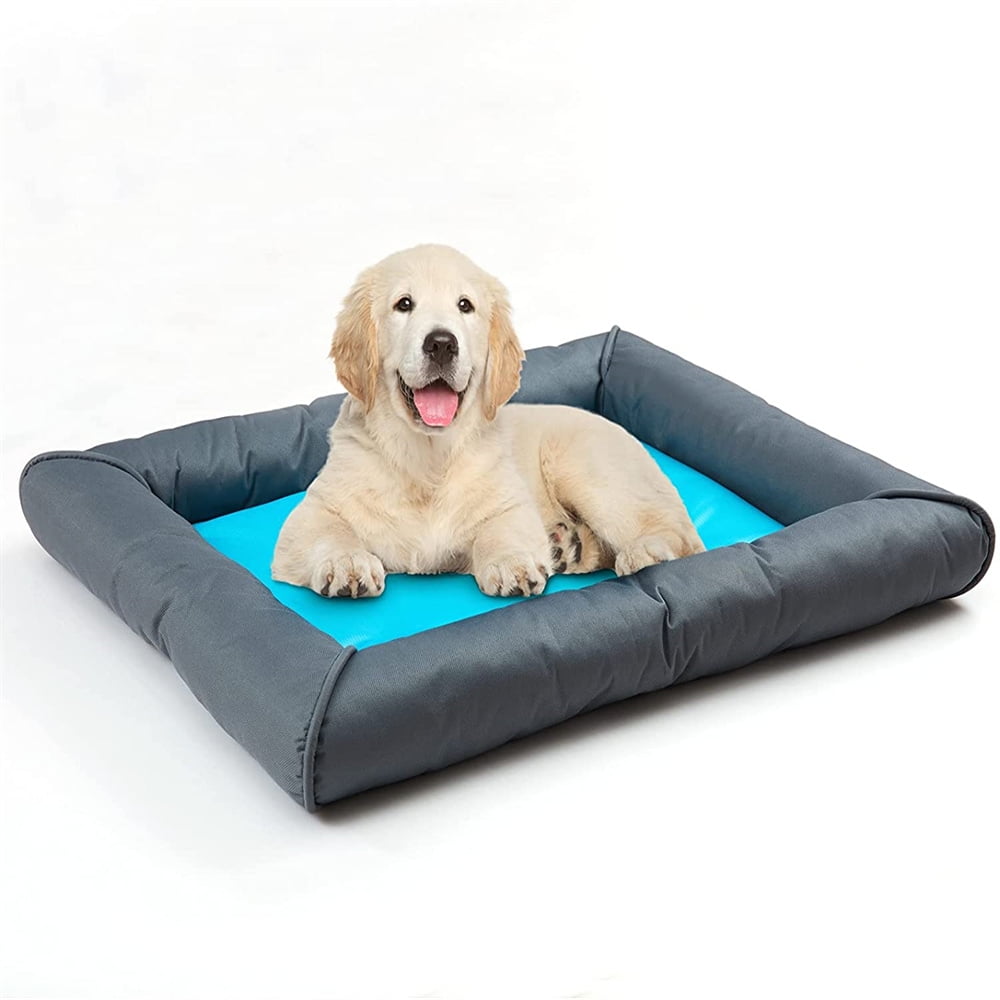 Really Cool Water Beds
