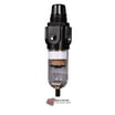 Arrow Mini Integral Filter/Regulator B742g Zinc & Polycarbonate Bowl 1/ ...