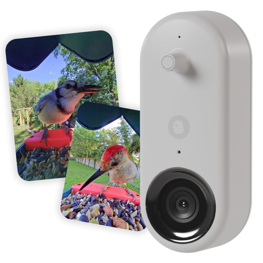 Cámara de vida silvestre Bird Buddy Nature Cam Pro, vídeo 2K de 5 MP ...
